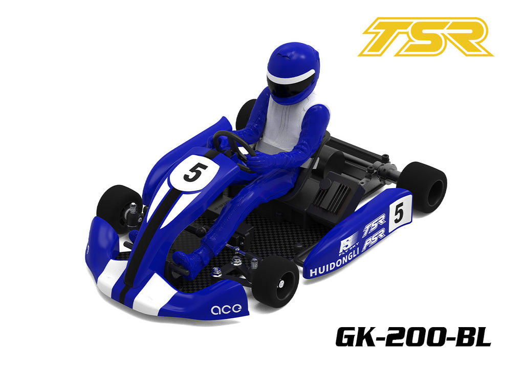 Team Saxo Racing GK-200 - Go-Kart - 1:8 2WD Kart Kit - with ESC, Motor ...