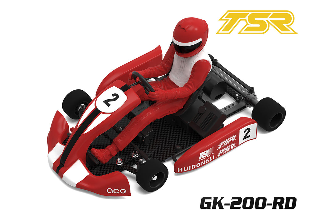 Team Saxo Racing GK-200 - Go-Kart - 1:8 2WD Kart Kit - with ESC, Motor ...