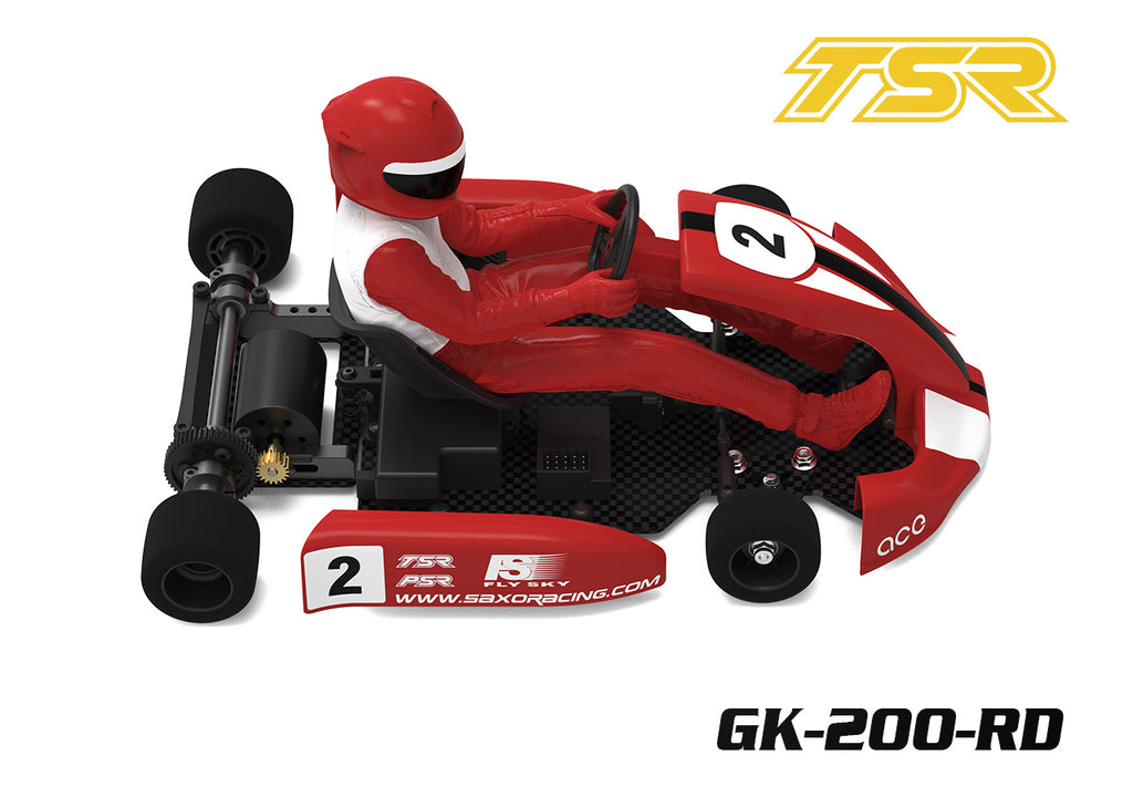 Team Saxo Racing GK-200 - Go-Kart - 1:8 2WD Kart Kit - with ESC, Motor ...